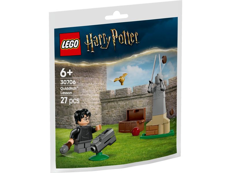 LEGO 30706 Quidditch Training | Harry Potter | VSR Spielwaren